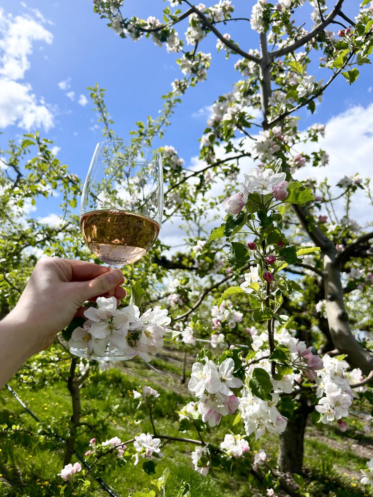 Escape to the Orchard: Mother's Day, Sunday Fundays & Summer Sipping at ...