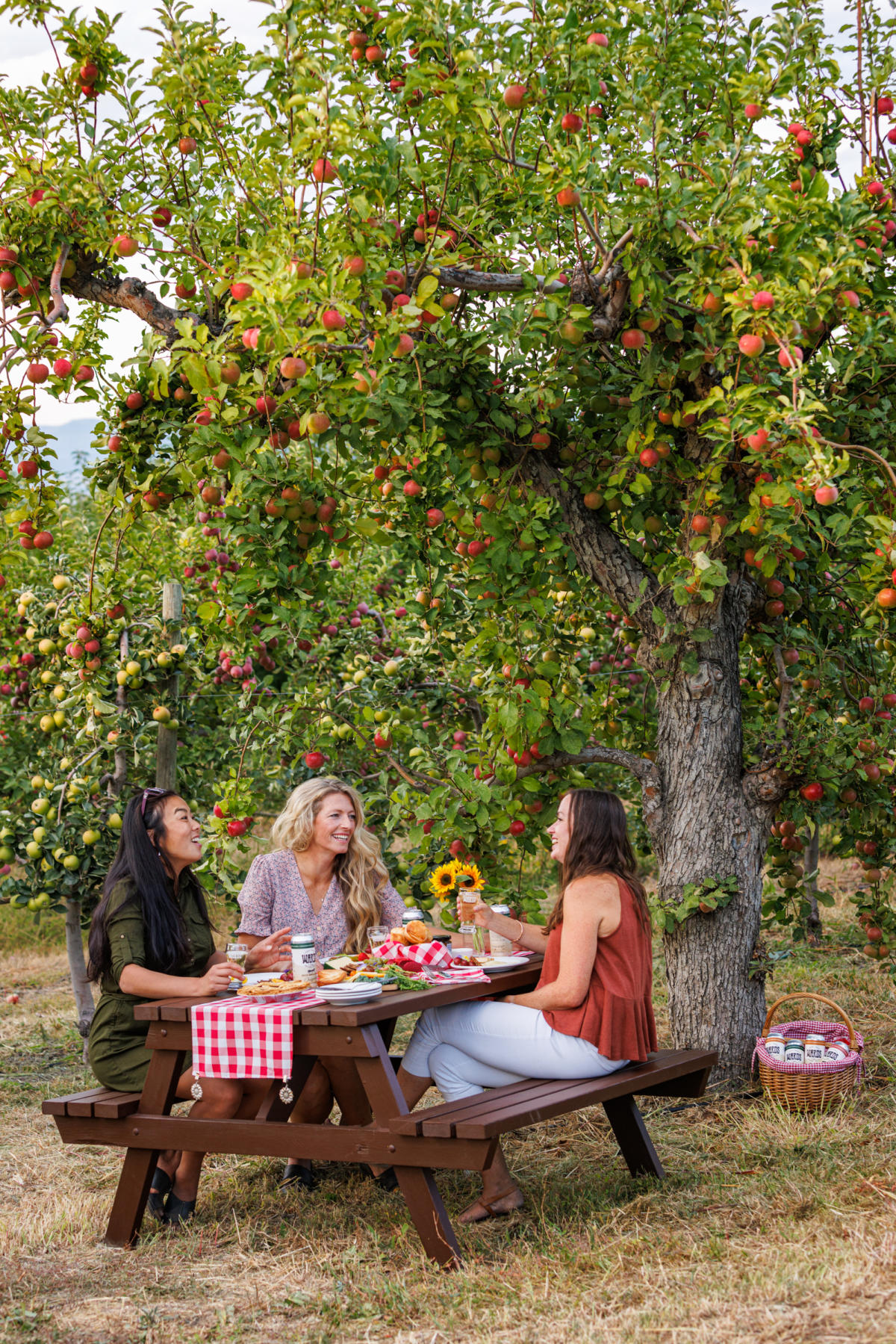 Sip Beyond the Vines: Kelowna's Best Breweries, Cideries, Distilleries ...
