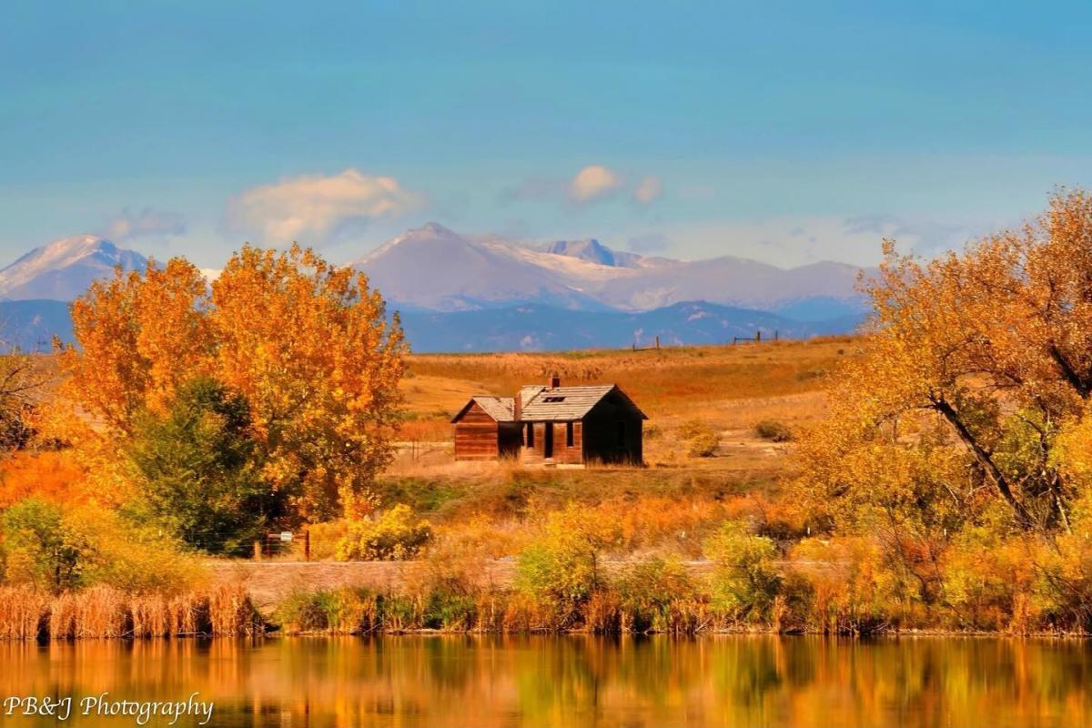 Celebrate the November Holiday Season in Longmont: Markets, Lights & Local Shopping