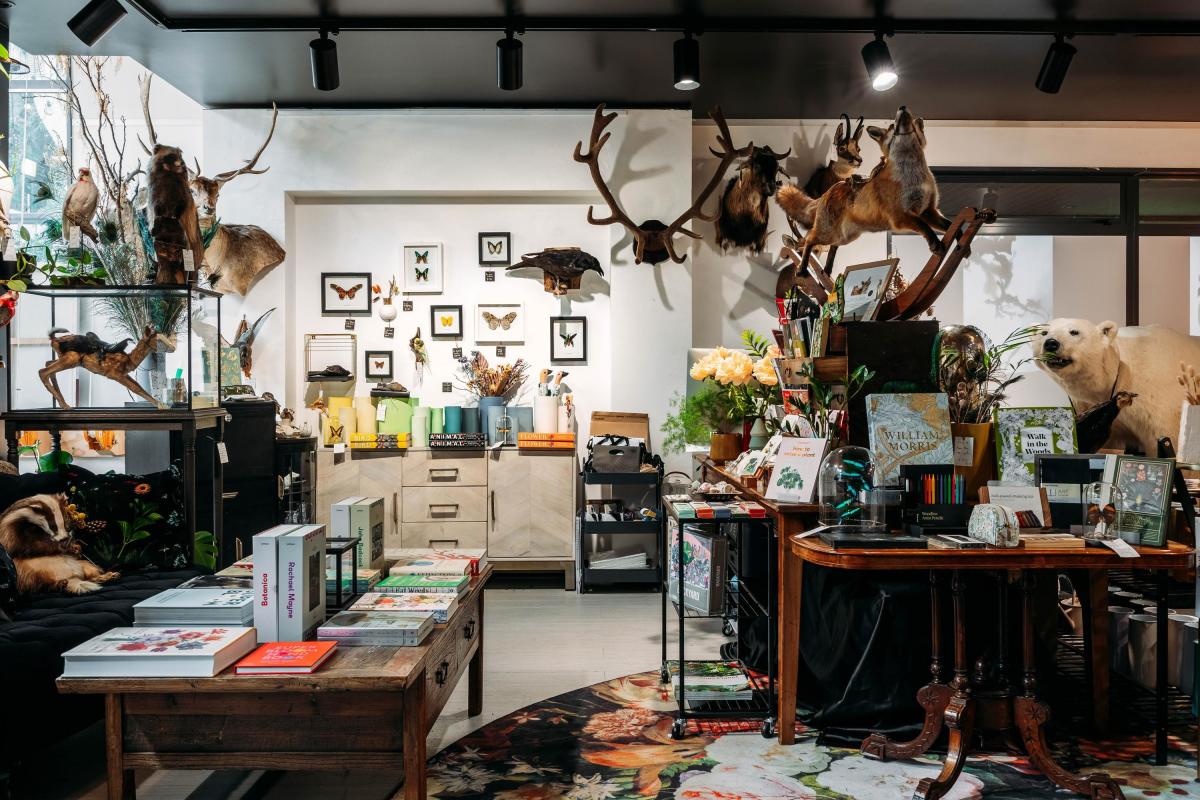 Explore the Queenstown Shops | Queenstown NZ