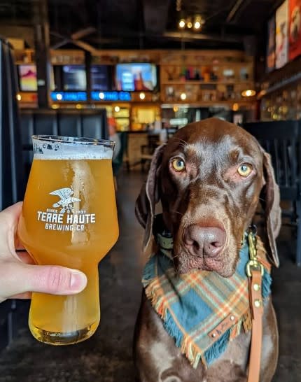 Brewery District Tour | Explore Terre Haute’s Craft Beer Scene in the ...