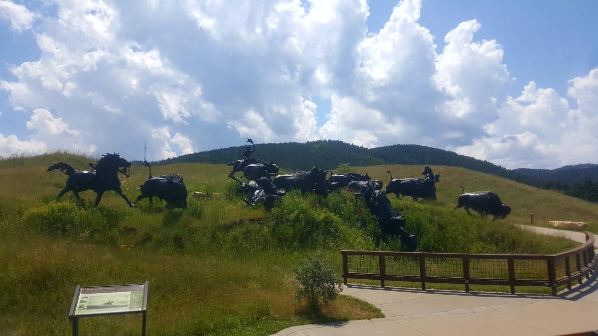 Tatanka - Story of the Bison