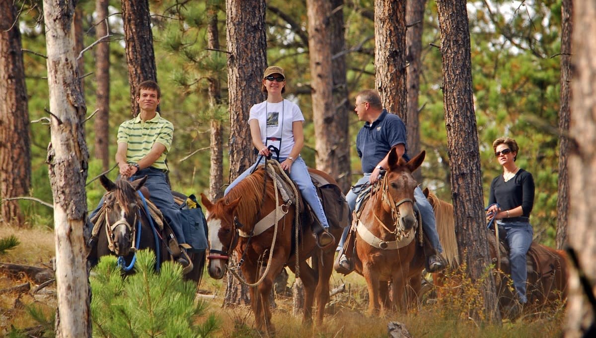 Trail Rides at Blue Bell Stables