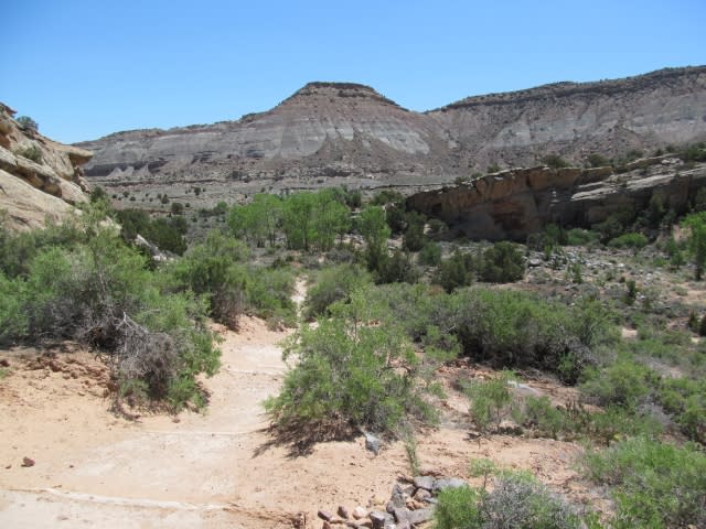 Old Gordon Trail | Grand Junction, CO