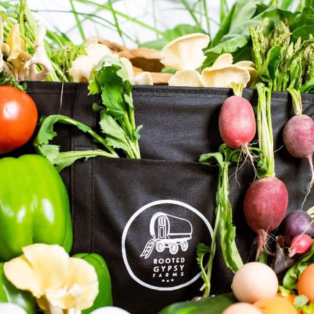 Rooted Gypsy Farms | Grand Junction, CO