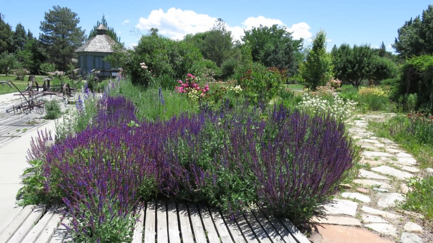 Cross Orchards Historic Site | Grand Junction, CO