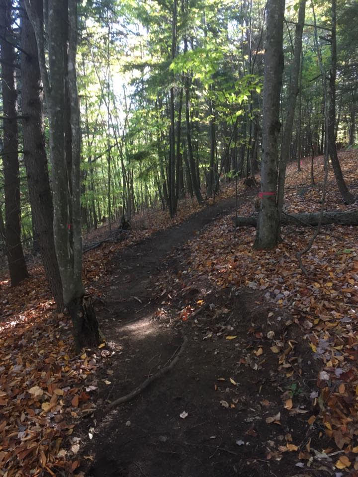 Brant Lake Bike Park