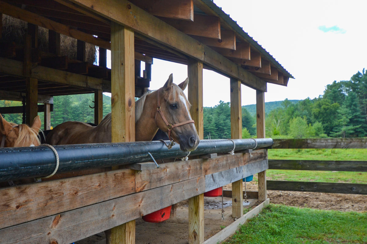 Mountain View Rocking B Ranch