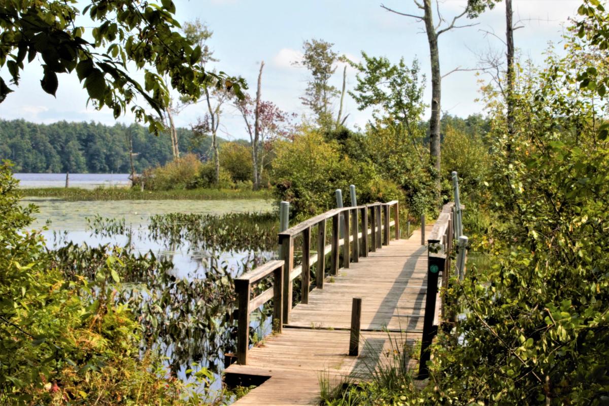 Hudson Pointe Nature Preserve