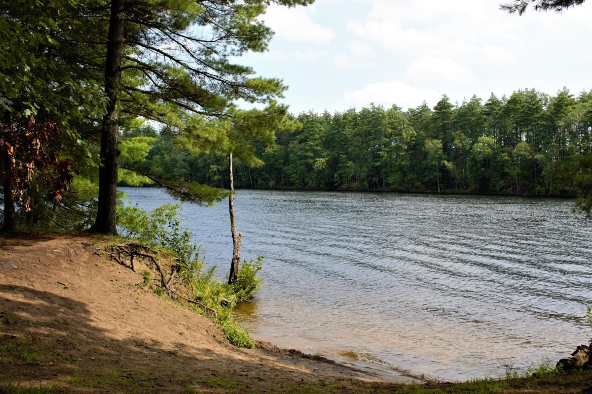 Hudson Pointe Nature Preserve