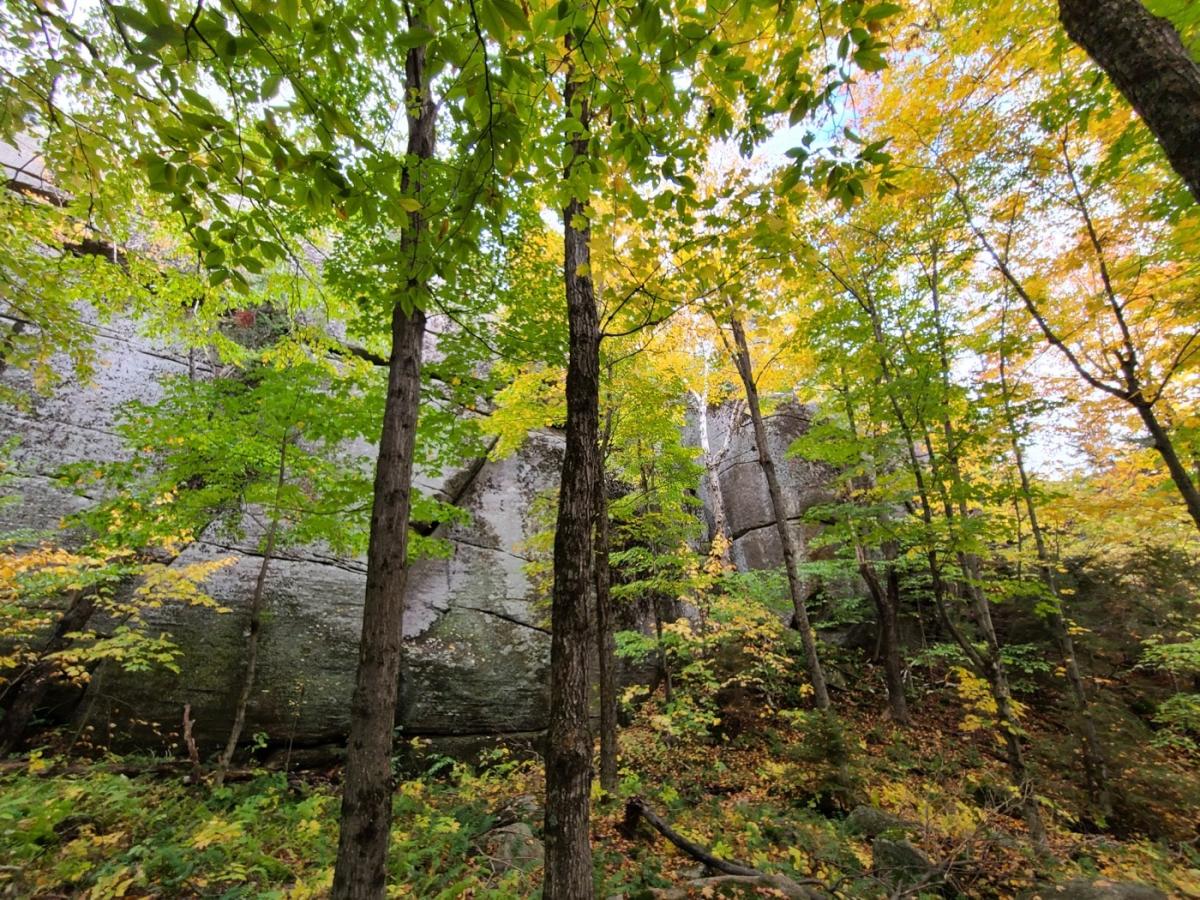 Schaefer Trail on Gore Mountain
