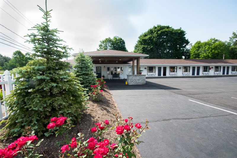 Blue Moon Motel