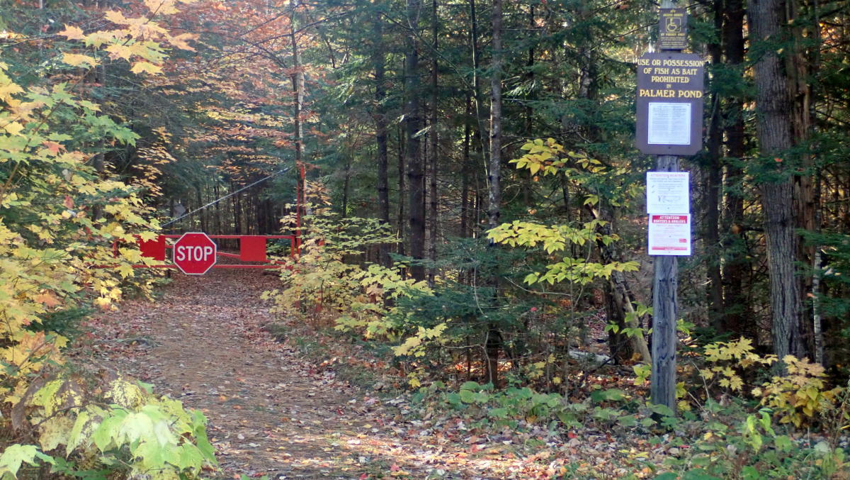 Palmer Pond Hiking Trail