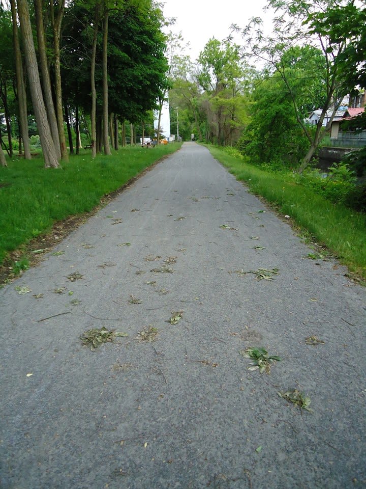 Feeder Canal Alliance