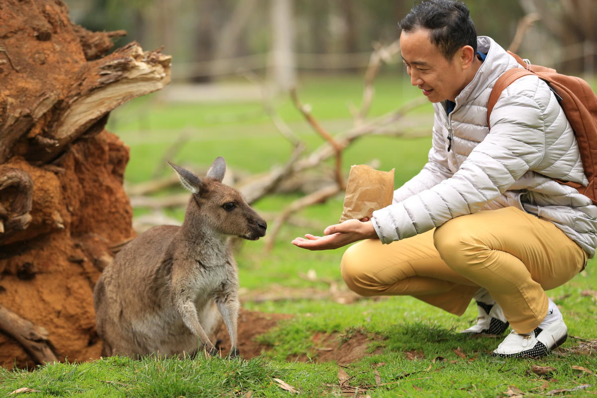 Cleland Wildlife Park