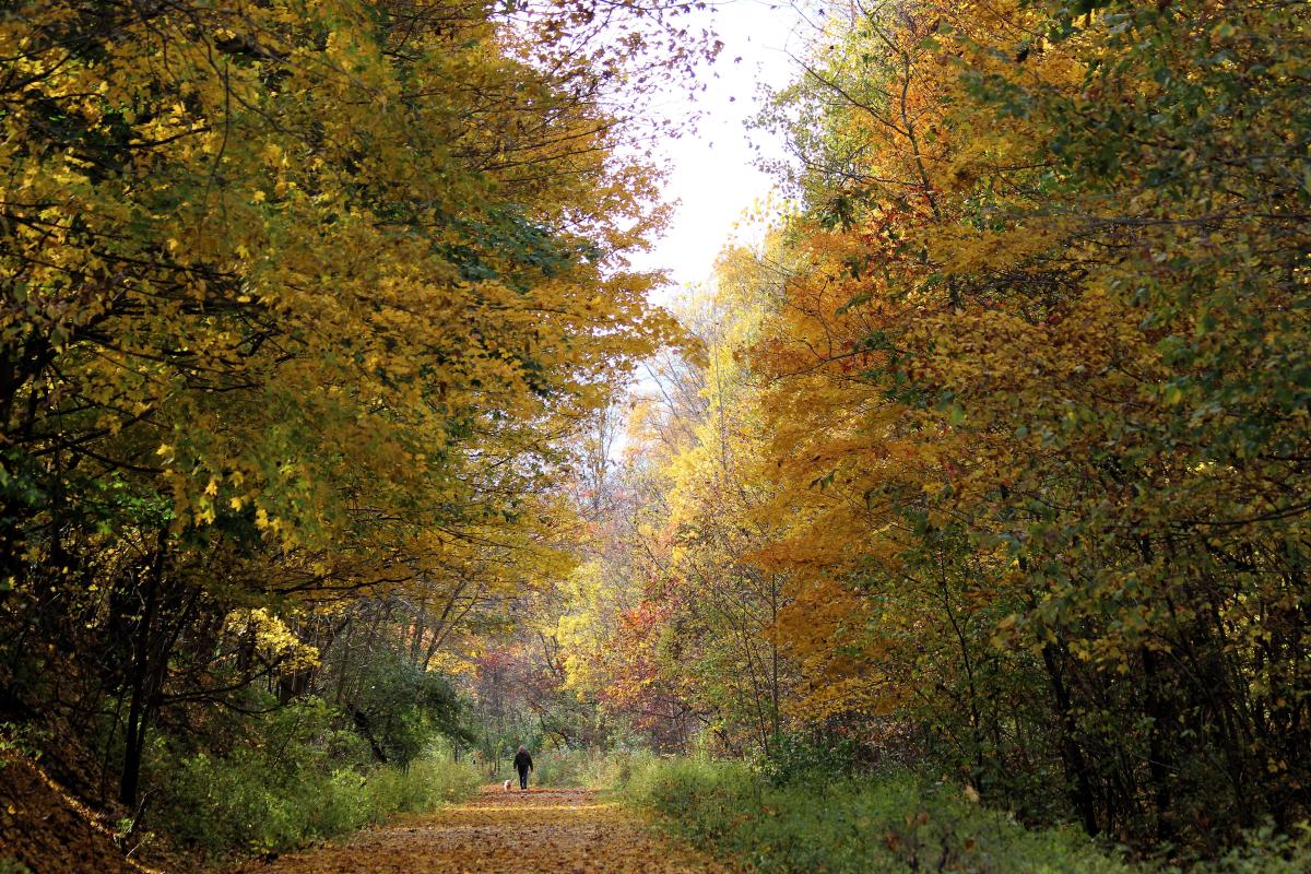 Summit Metro Parks | Akron, OH