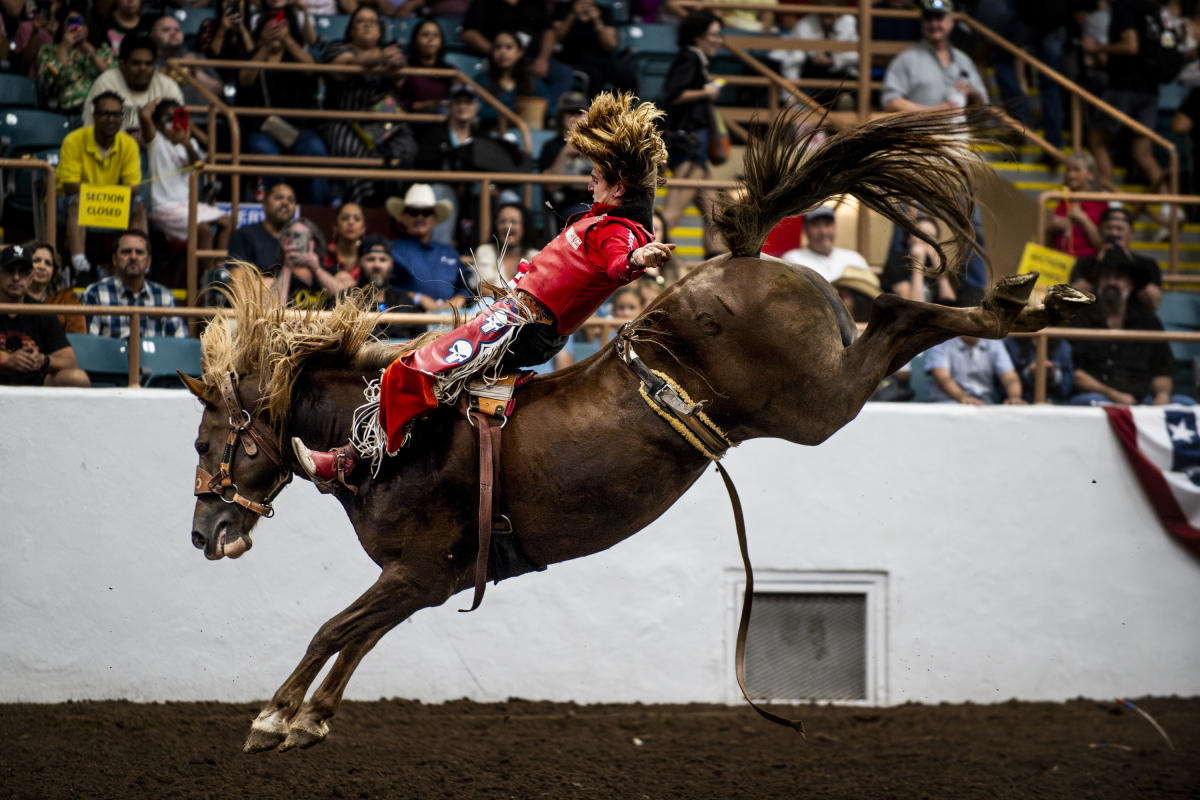 New Mexico State Fair