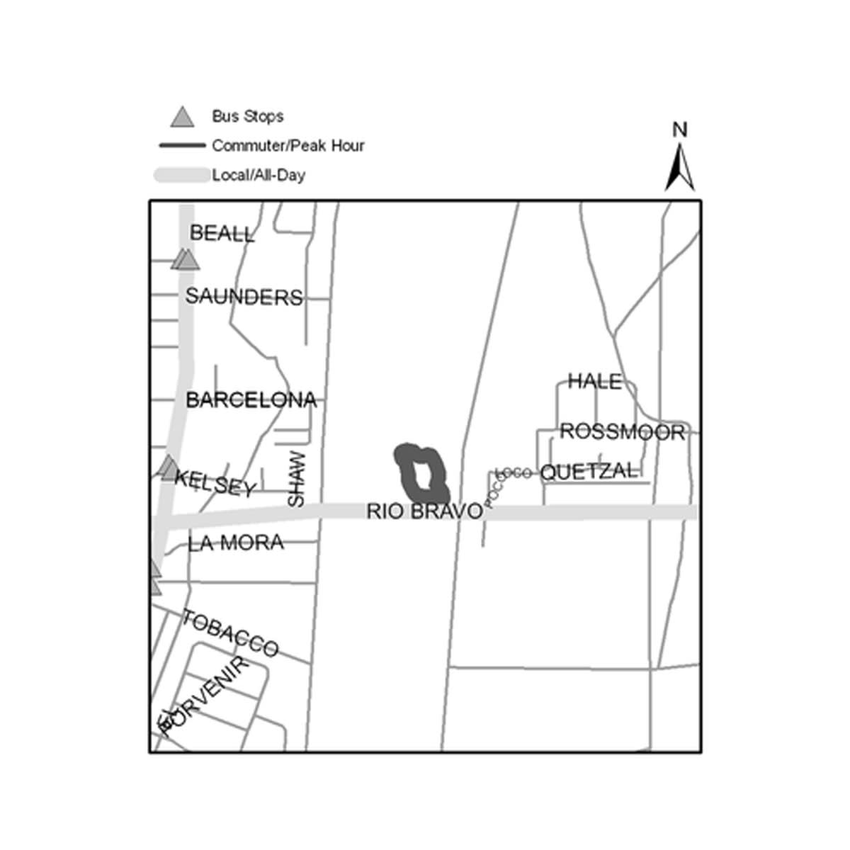 Rio Bravo Open Space