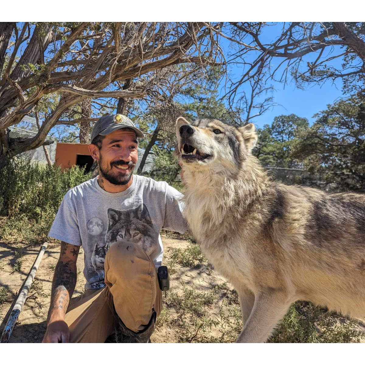 Wild Spirit Wolf Sanctuary