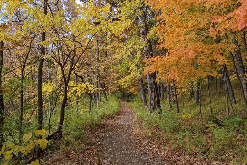 Cedar Bend Nature Area