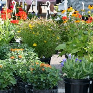 Chelsea Farmers Market