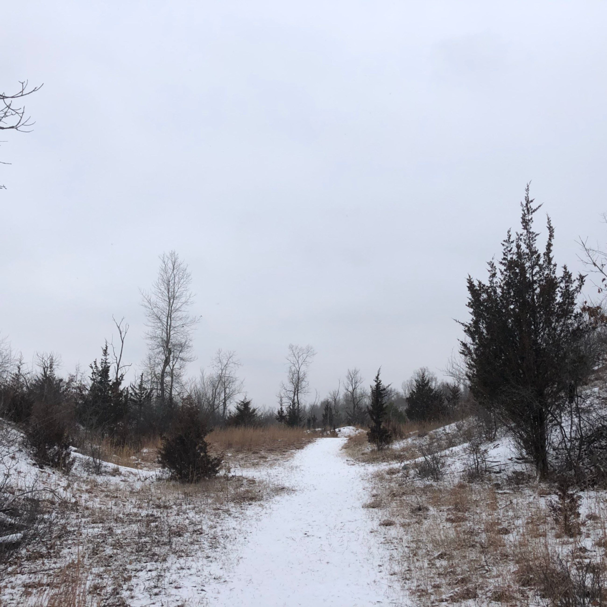 Fox Science Preserve