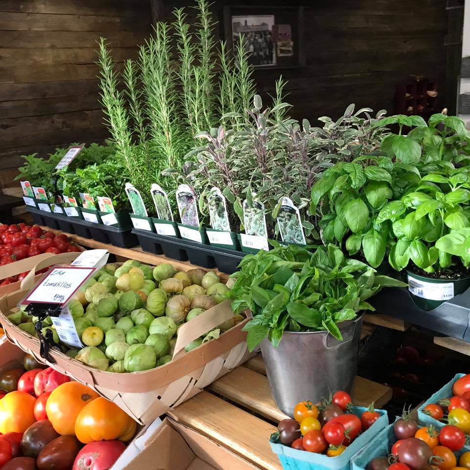 Argus Farm Stop - Packard Rd.