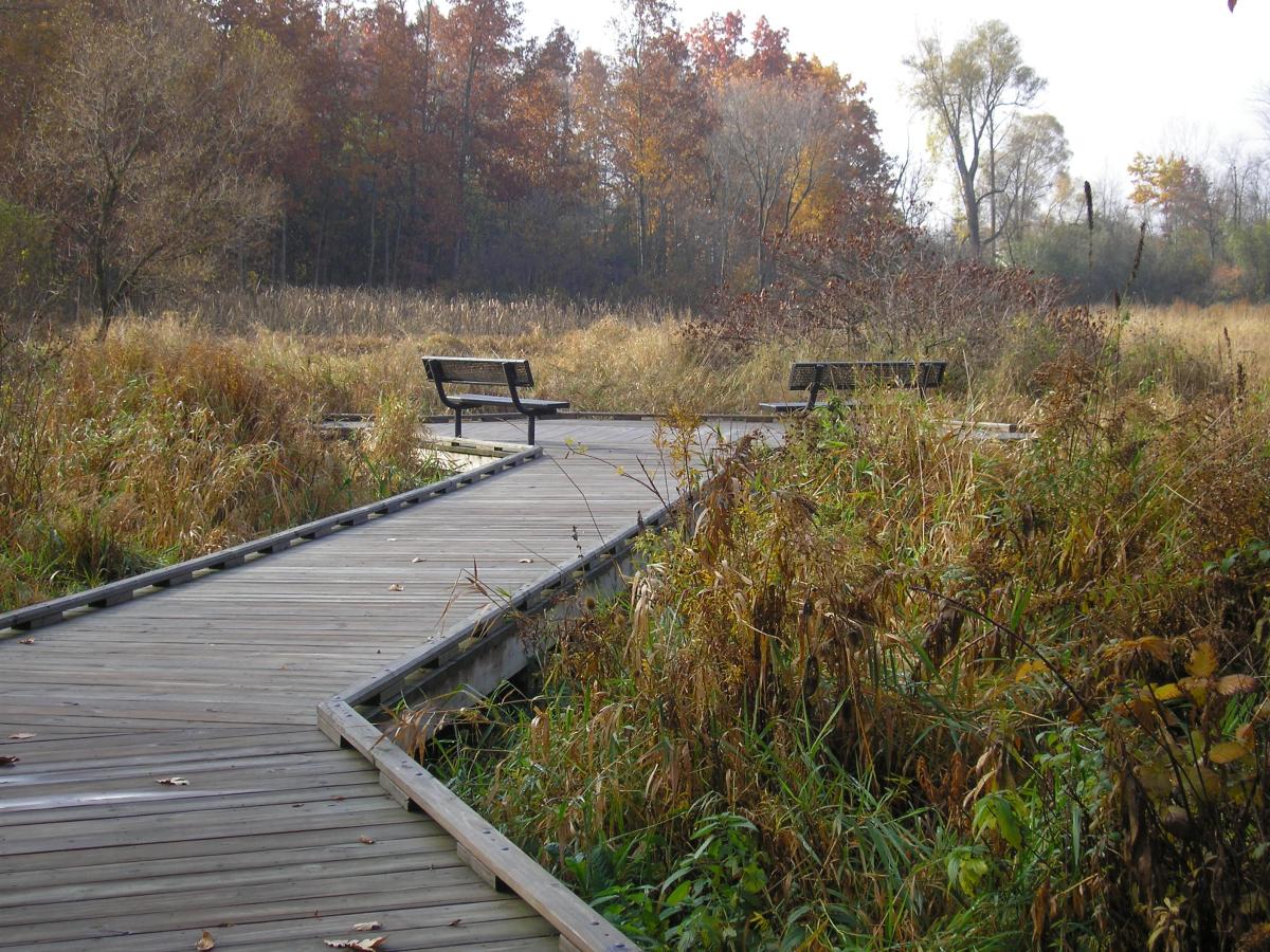 Marsh View Meadows Park