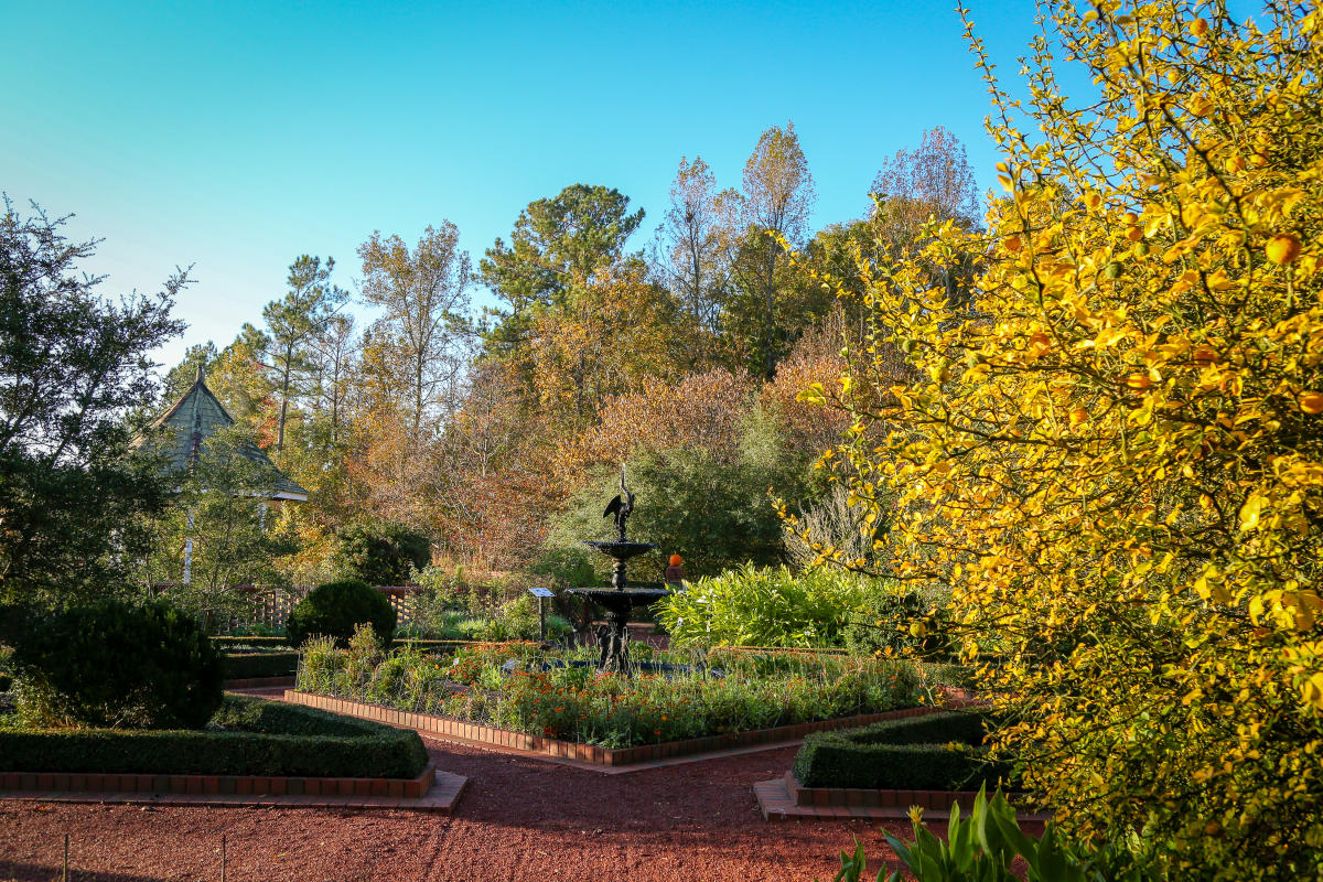 State Botanical Garden of Georgia at UGA