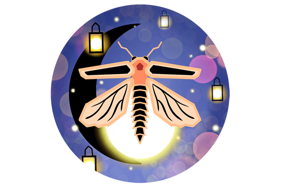 fireflies lantern