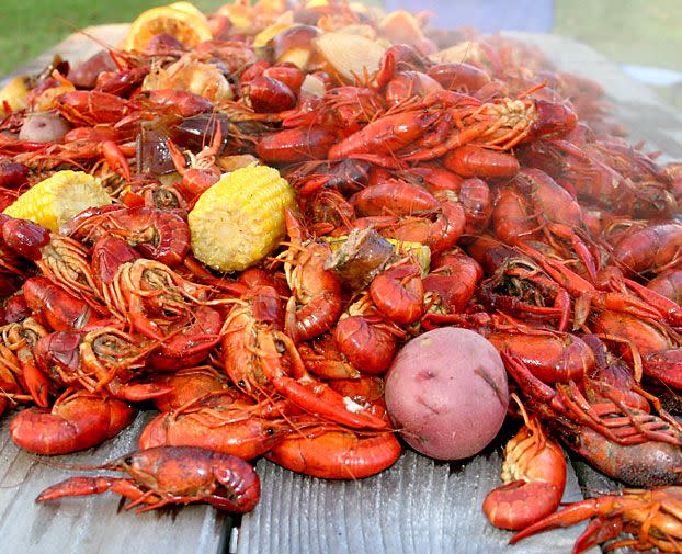 Big Blue Crawfish