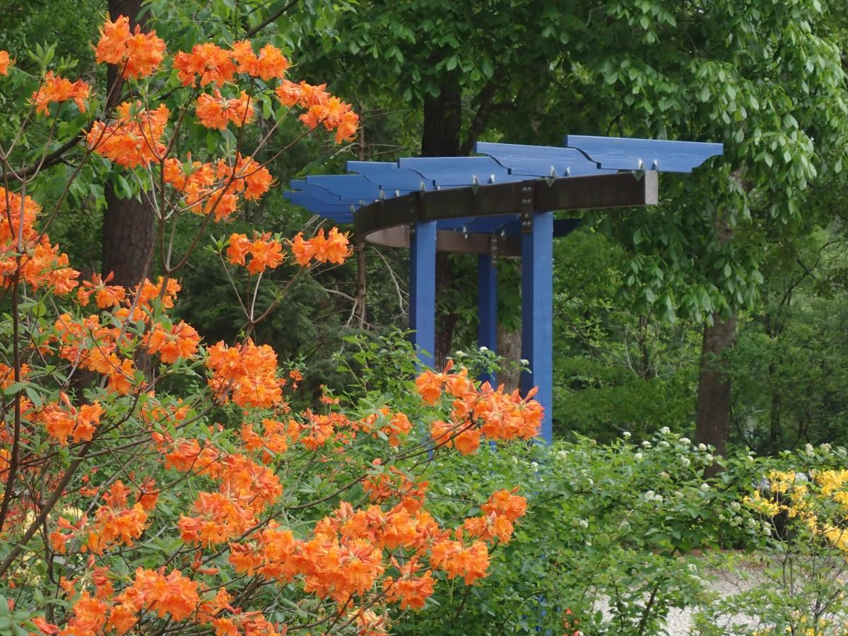 Donald E. Davis Arboretum