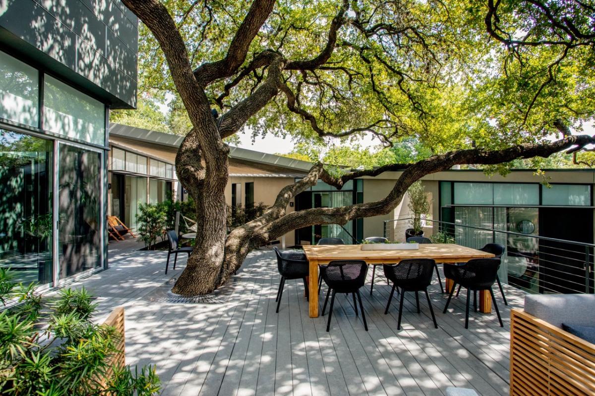 Frame Hotel Treehouse | Austin, TX