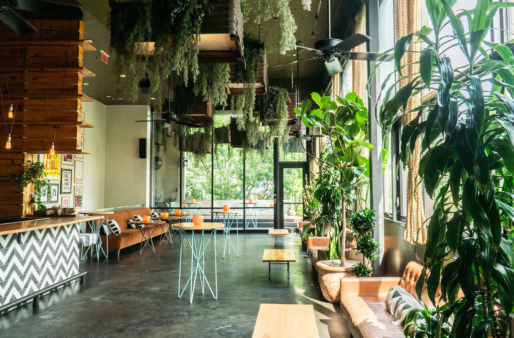 Malverde | Austin, TX