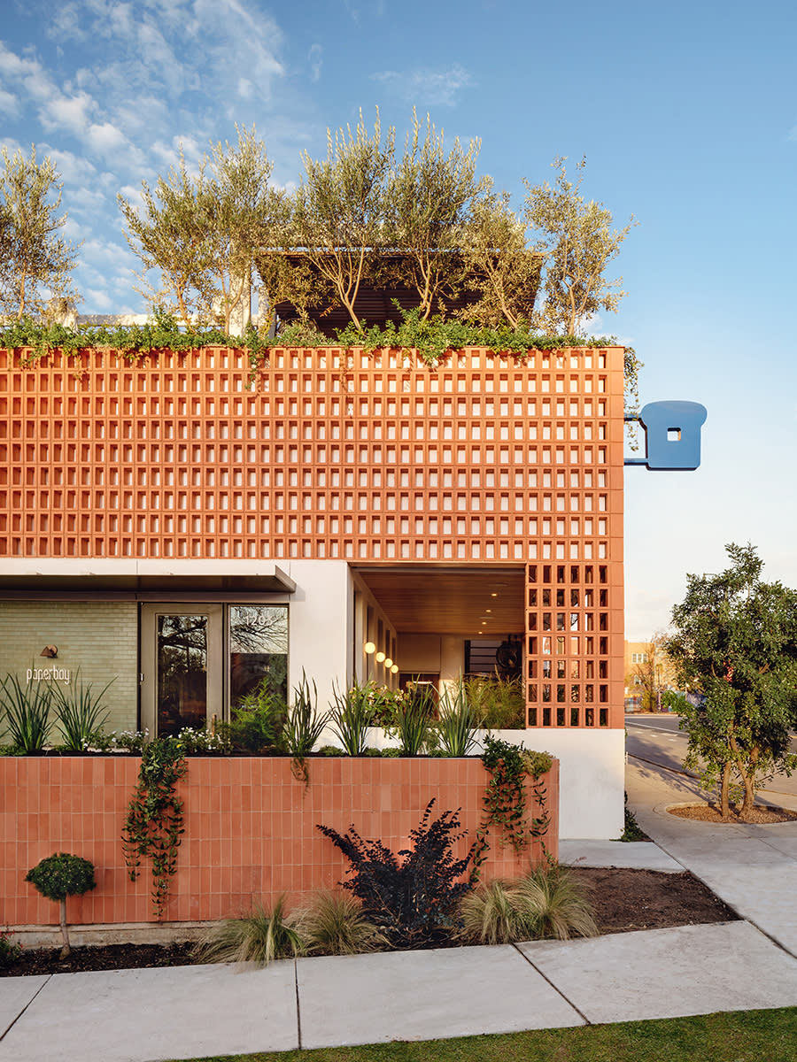 Paperboy | Austin, TX