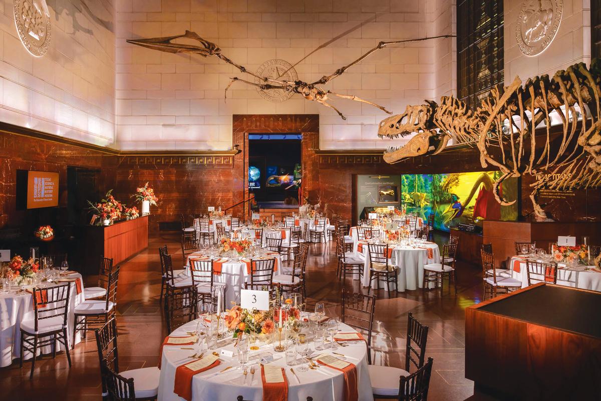 Texas Science & Natural History Museum | AUSTIN, TX
