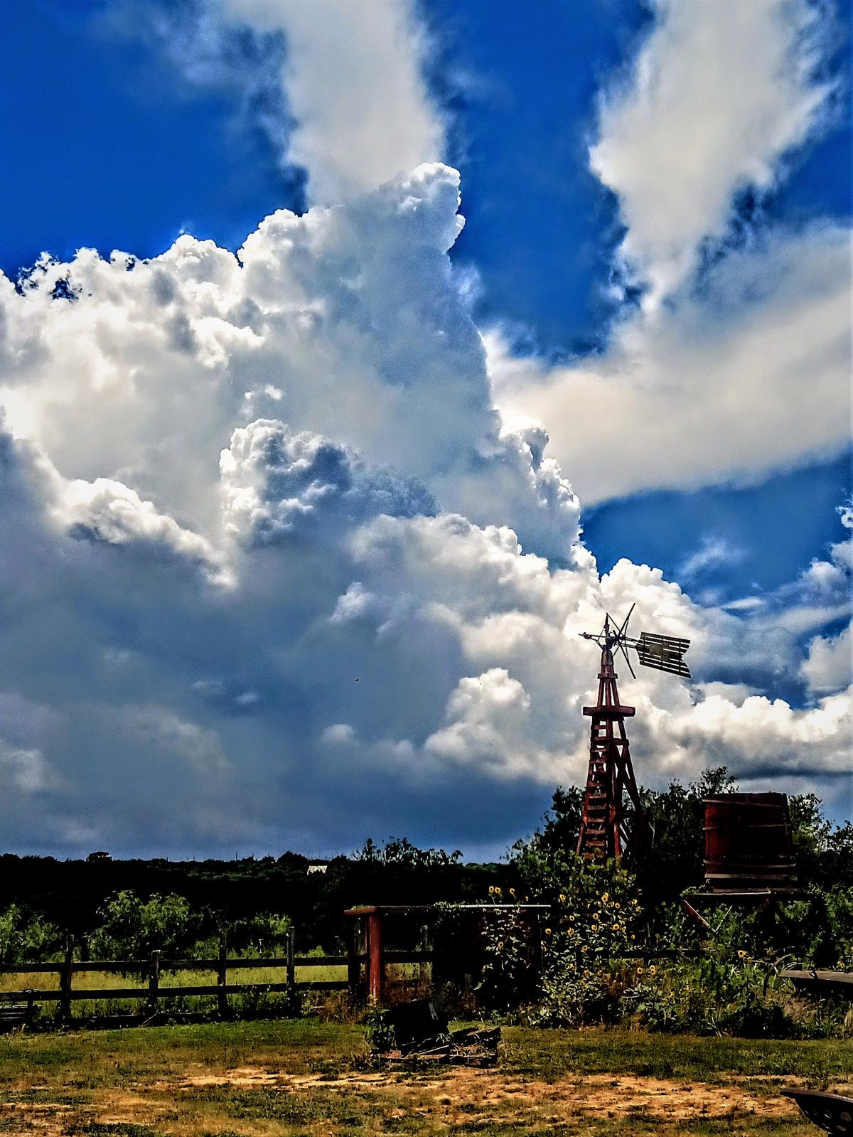 Jourdan-Bachman Pioneer Farms | Austin, TX