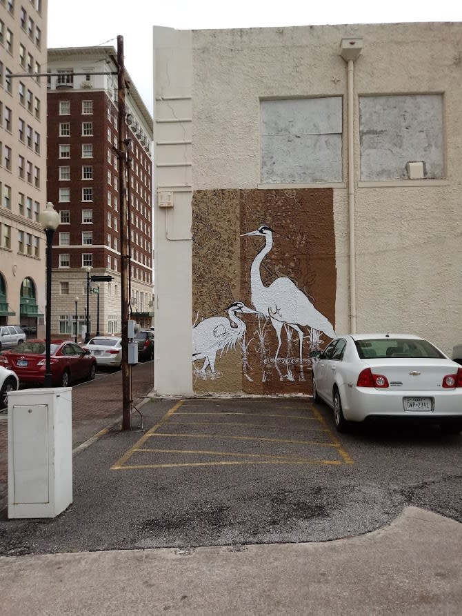 Downtown Beaumont Bird Mural | Beaumont, TX 77701