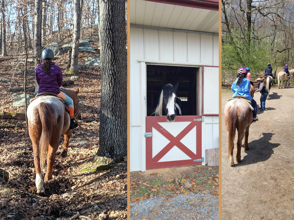Sunset Stables