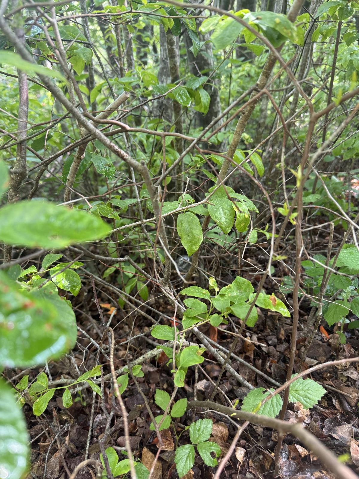 206 Kim Palmieri | Block Island, RI