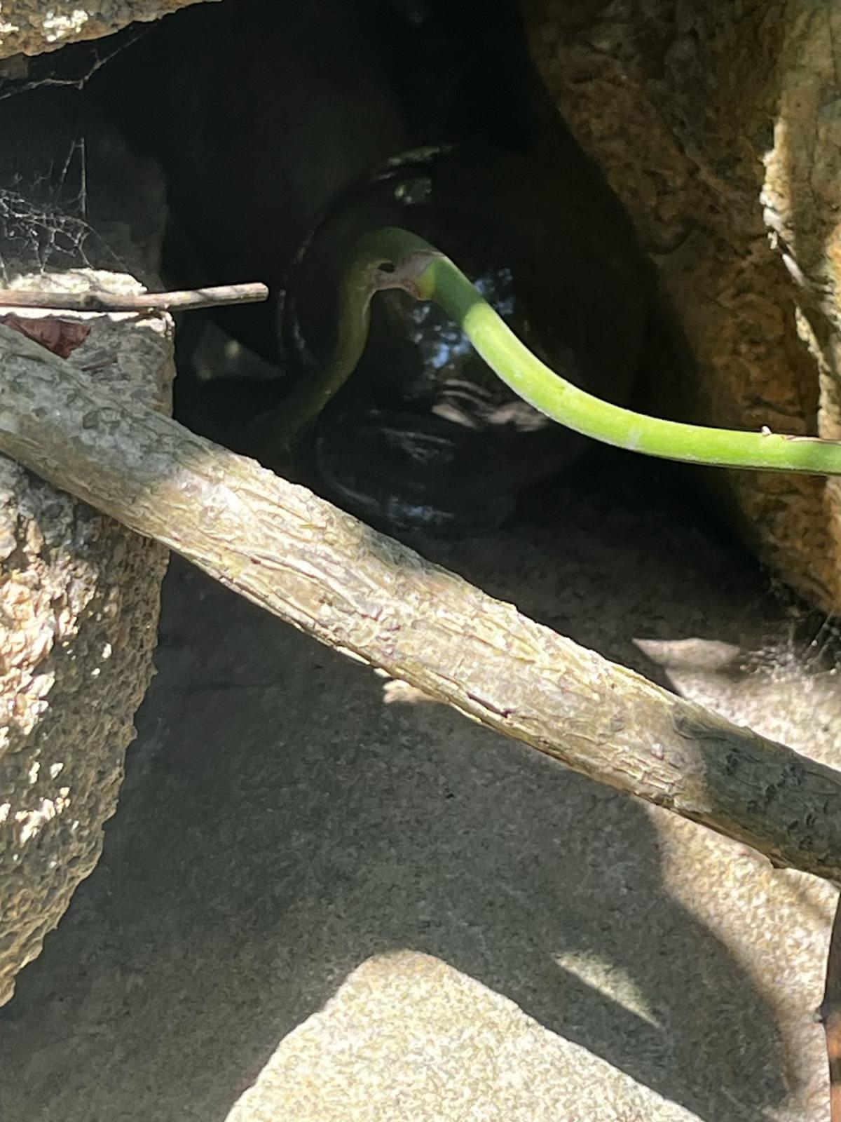 467 C. Lumbruno | Block Island, RI