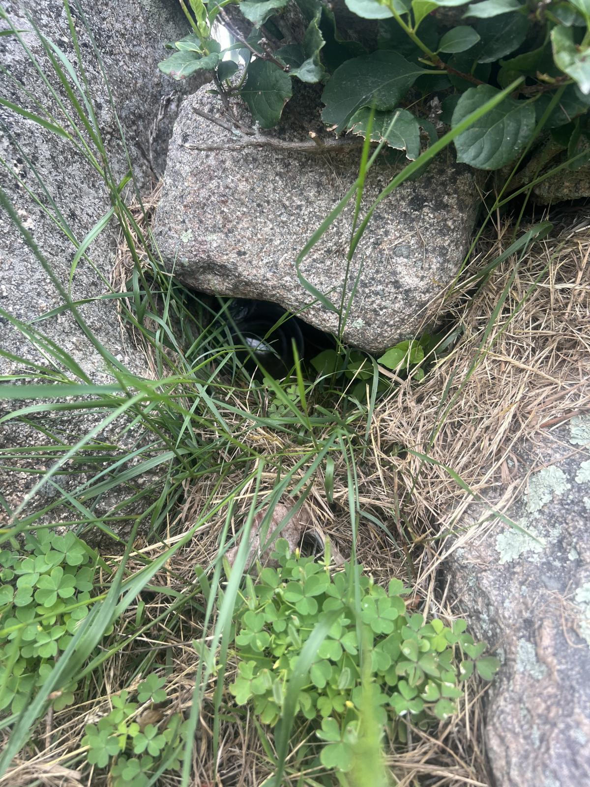 443 | Block Island, RI