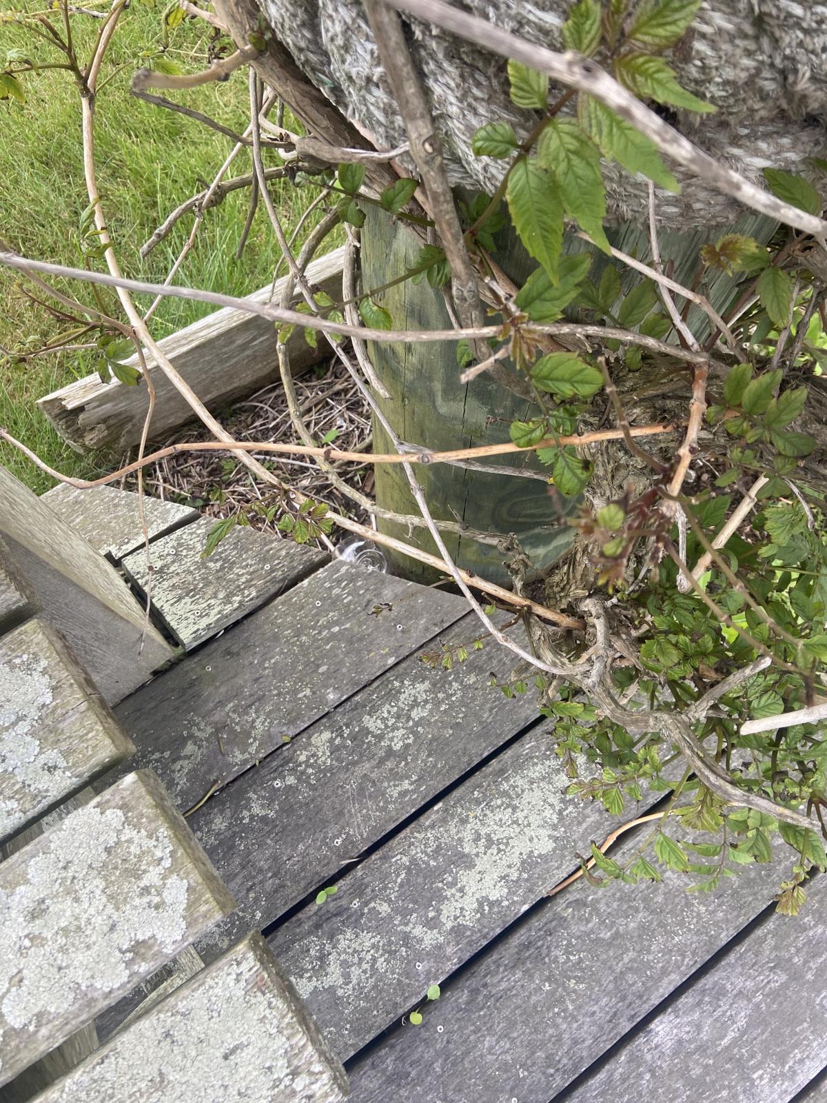 137 | Block Island, RI