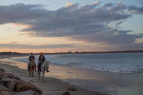 Rustic Rides Horseback Riding | Block Island, RI