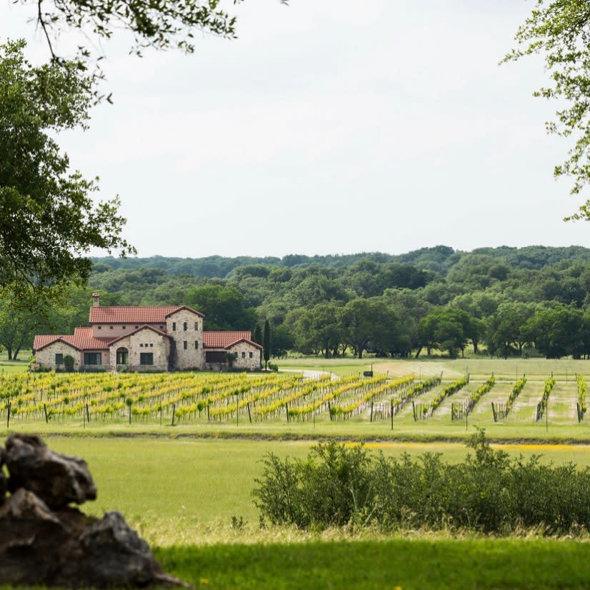 Florence Texas Vineyard The Vineyard At Florence Texas Wine Lover®