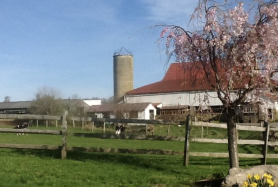 Milky Way Farm & Chester Springs Creamery