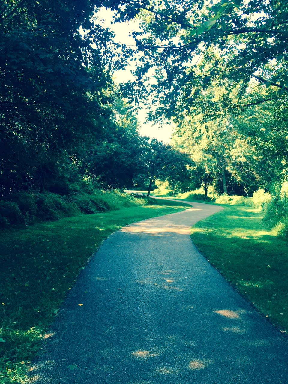 Wilson Farm Park