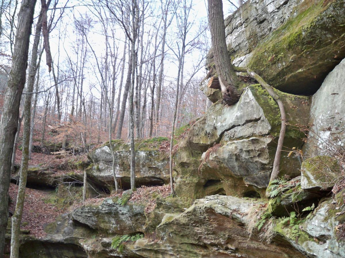 Hoosier National Forest | Tell City, IN 47586