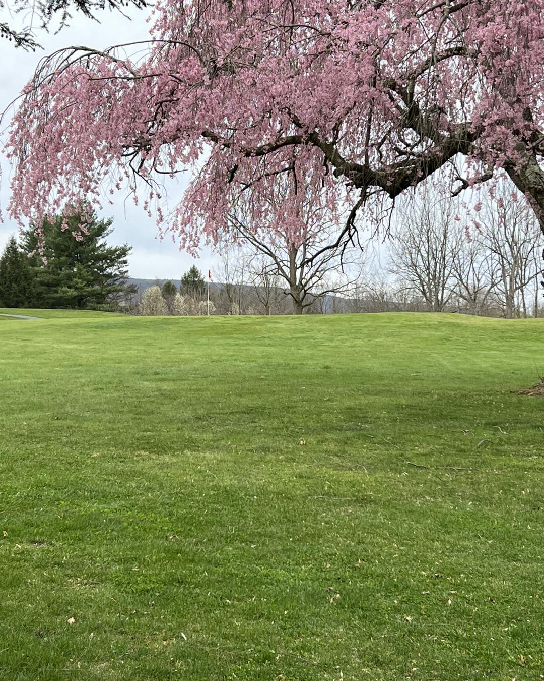 Belles Springs Golf Course