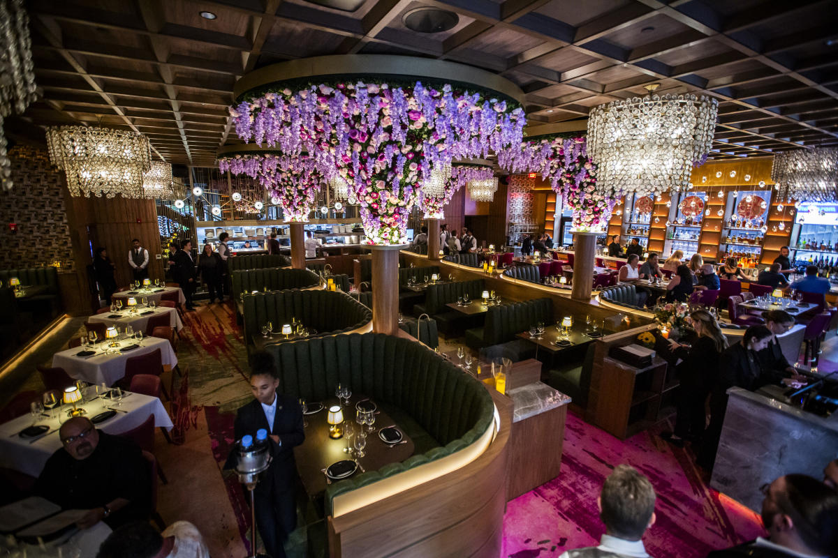 mitchell rose blackpool